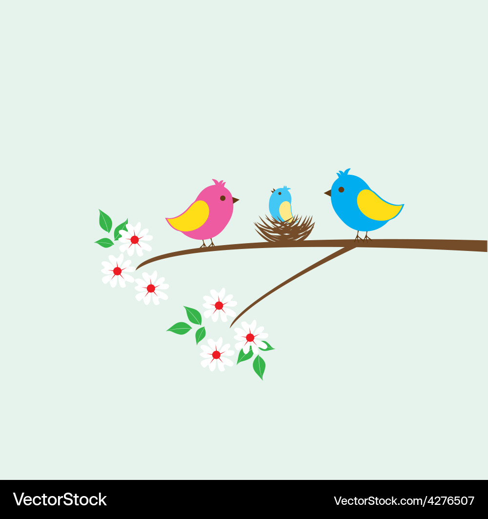 Bird family Royalty Free Vector Image - VectorStock