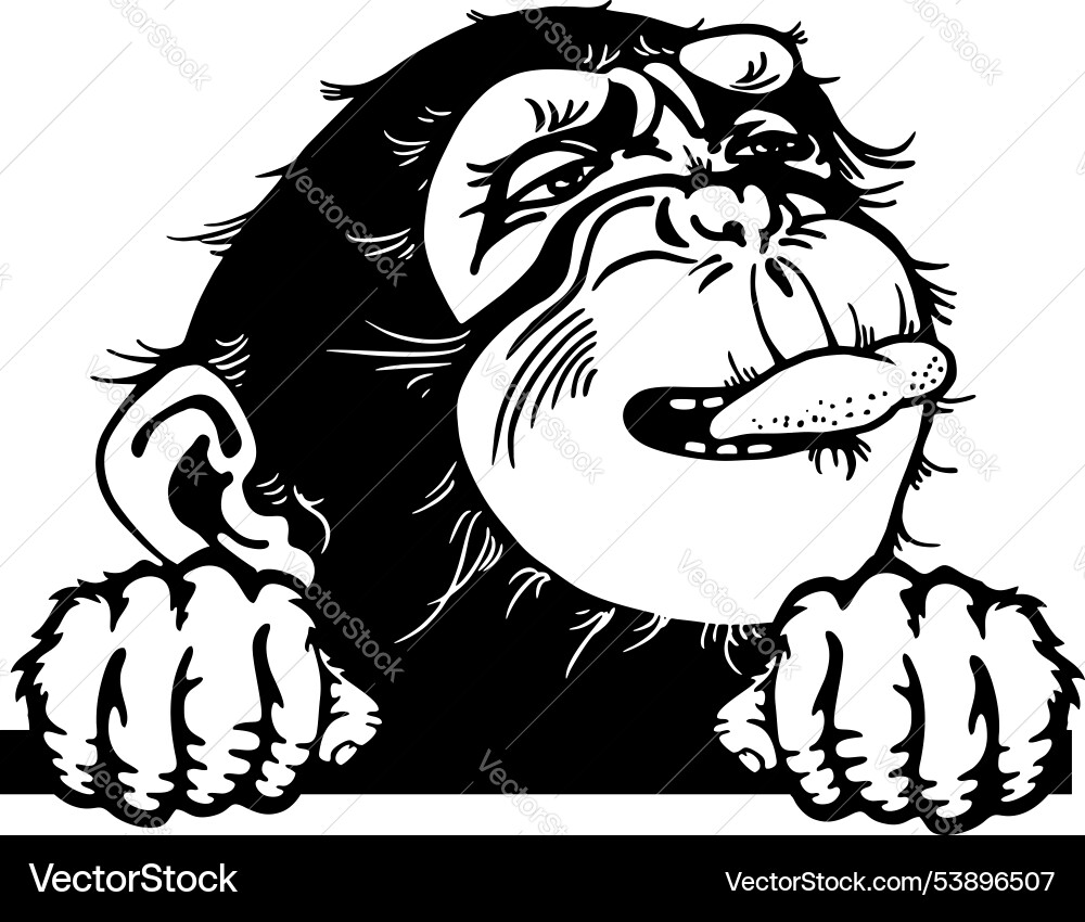 Peeking monkey - comic animal funny Royalty Free Vector