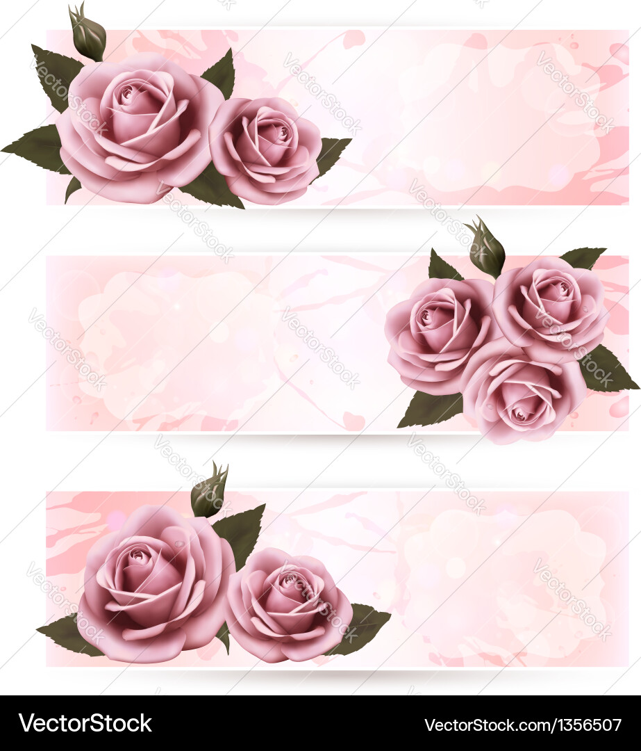Pink Rose Holiday Banners Royalty Free Vector Image