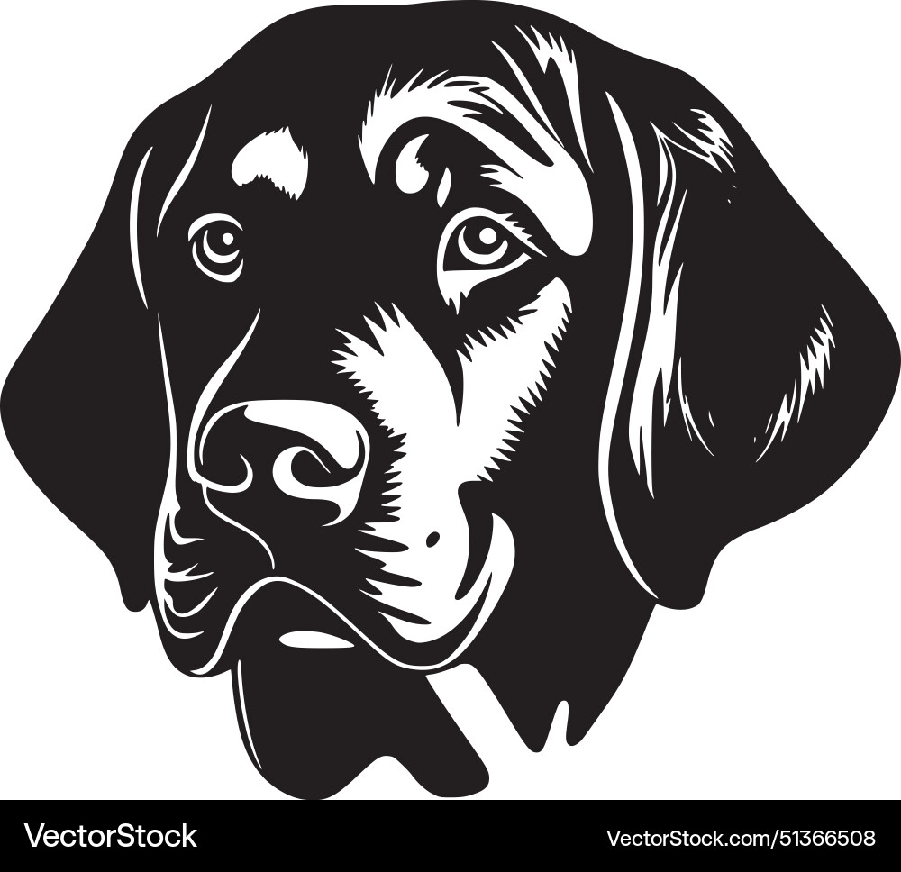 Labrador retriever - minimalist and flat logo Vector Image