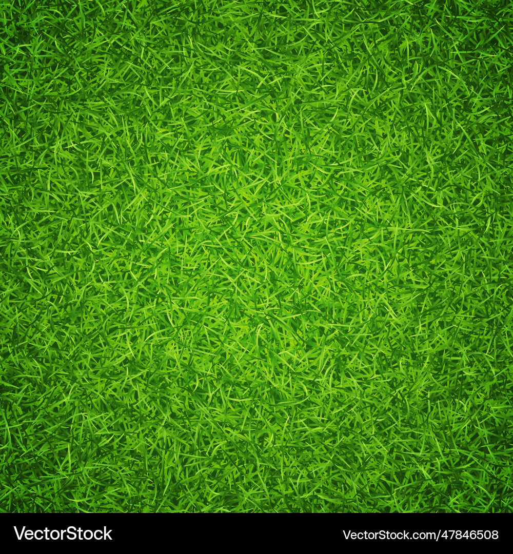 Lawn green grass background Royalty Free Vector Image