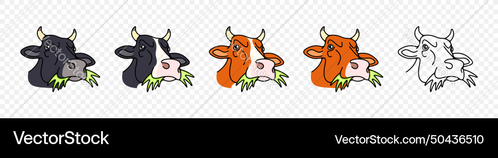 Dairy cow and graphic design Royalty Free Vector Image