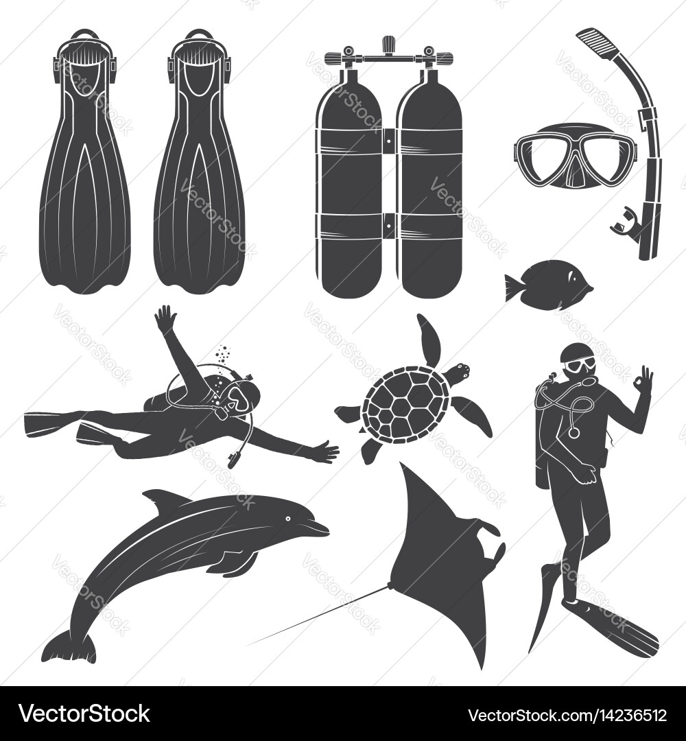 Scuba diving gear Royalty Free Vector Image - VectorStock