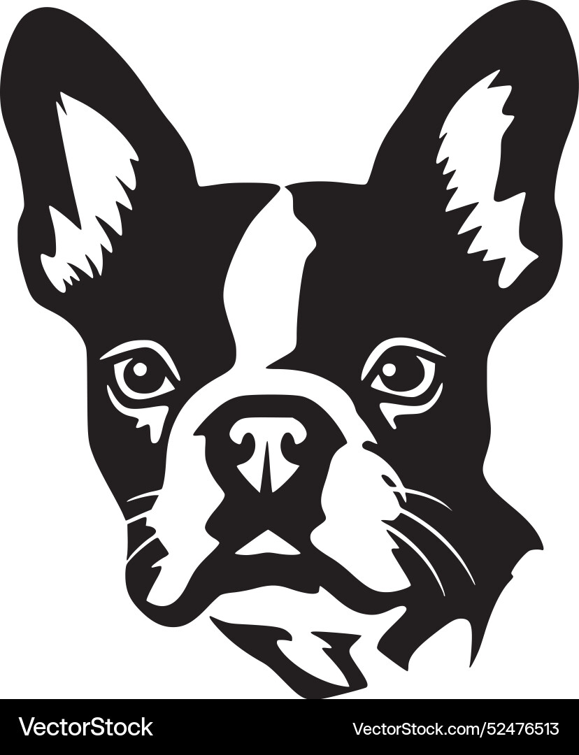Boston terrier - minimalist and flat logo Vector Image