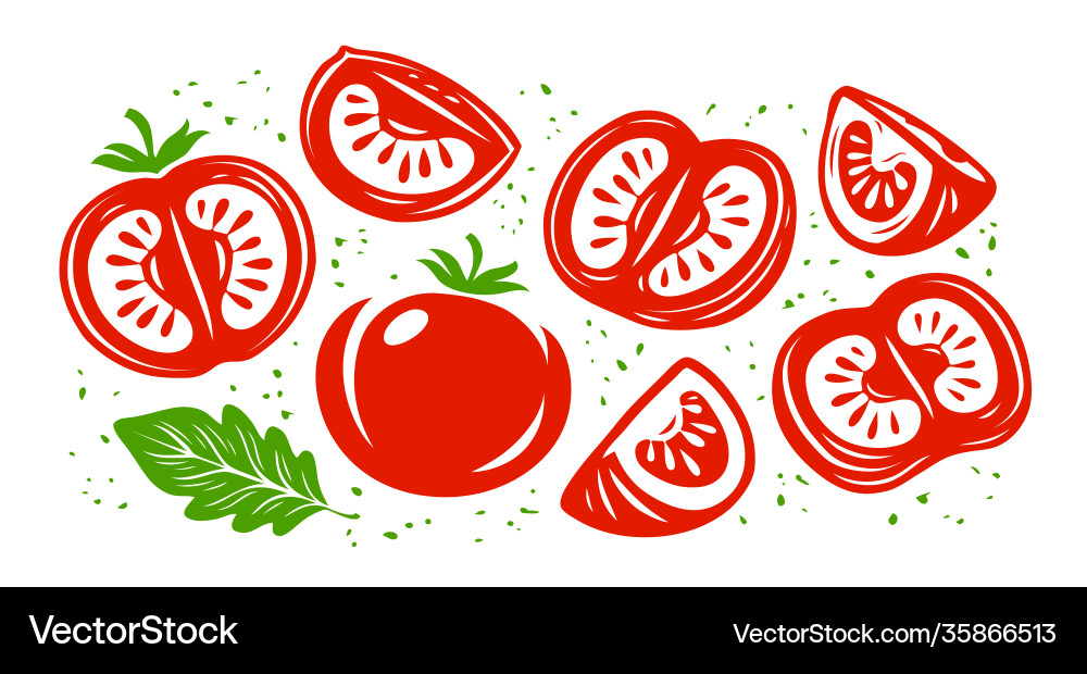 Fresh Red Tomato Slices Royalty Free Vector Image