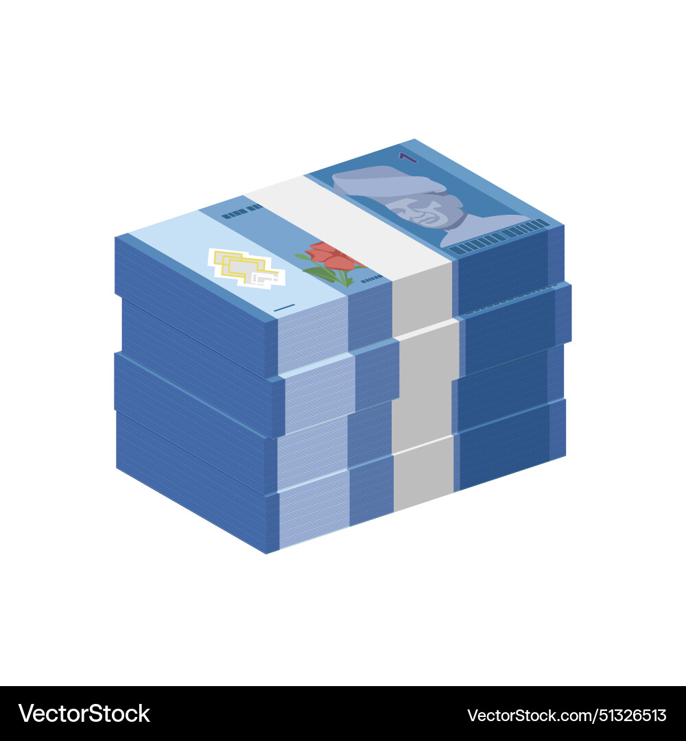 Malaysia ringgit bundle banknotes money stack Vector Image