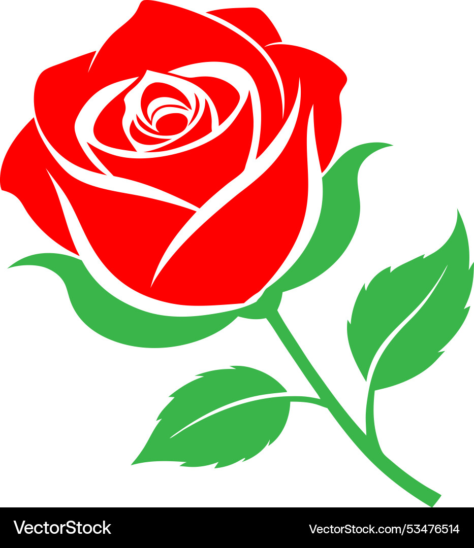 A rose art work Royalty Free Vector Image - VectorStock