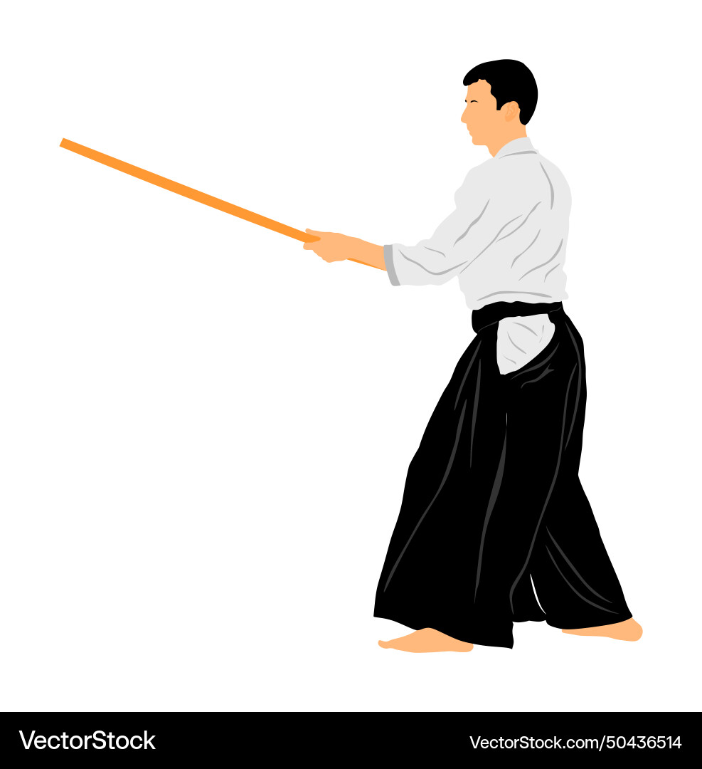 Aikido fighter isolated on white Royalty Free Vector Image