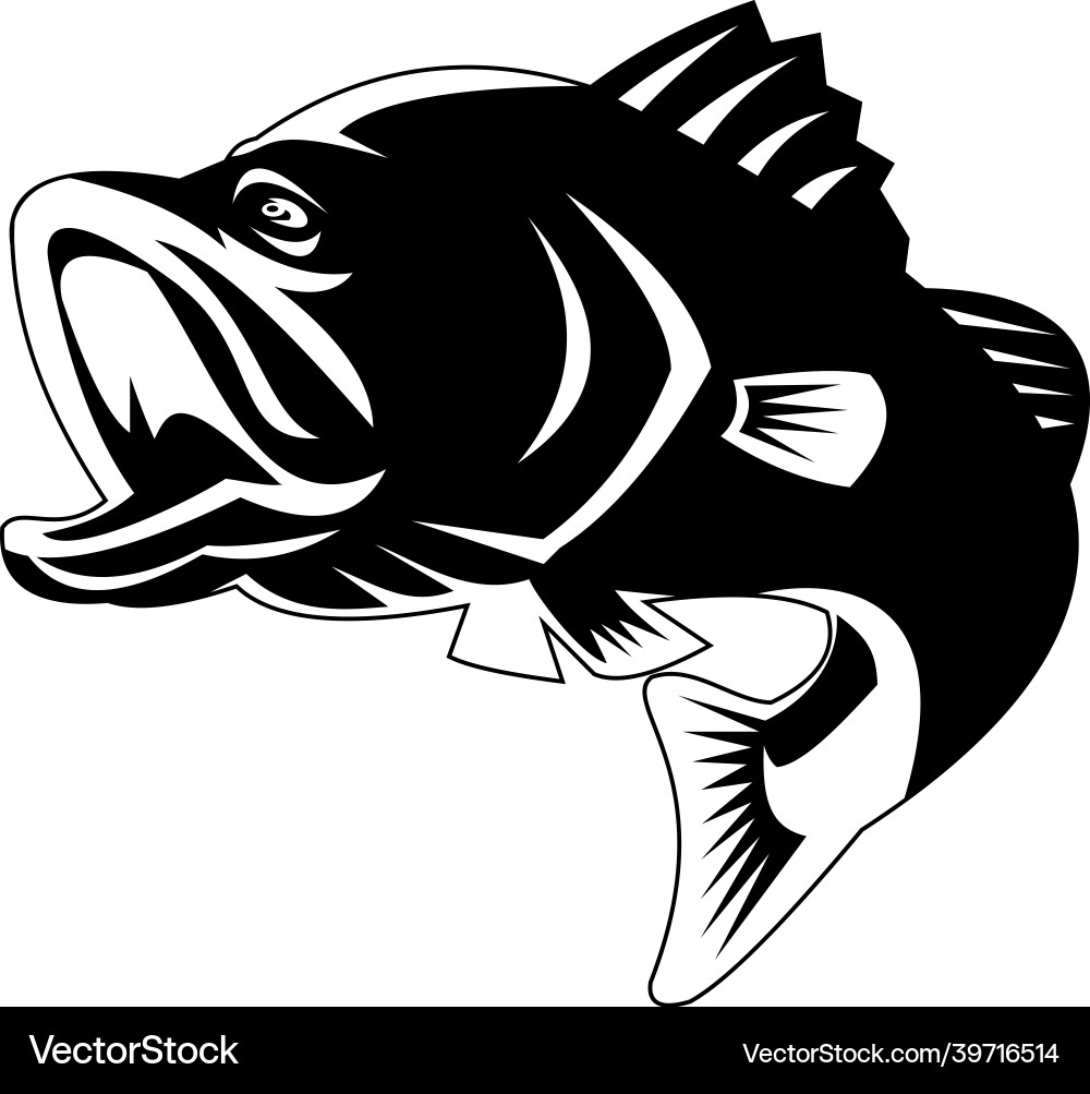 Bass Fish Vector Images (over 8,700)
