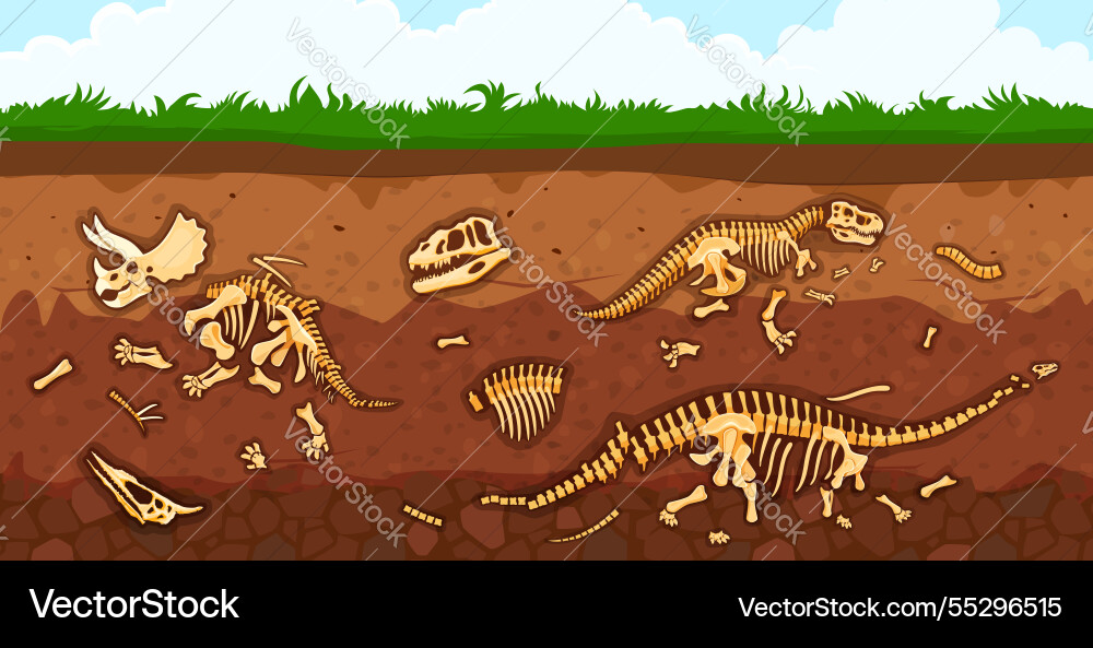 Archeology dinosaur fossil bones in soil layers Vector Image