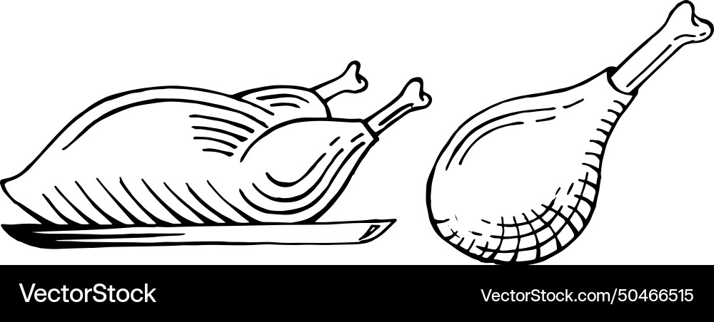 Hand drawn roasted chicken dish Royalty Free Vector Image