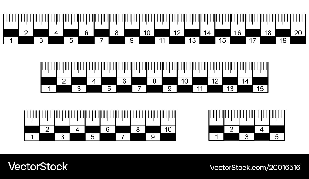 Analysis crime scene judicial measuring ruler Vector Image