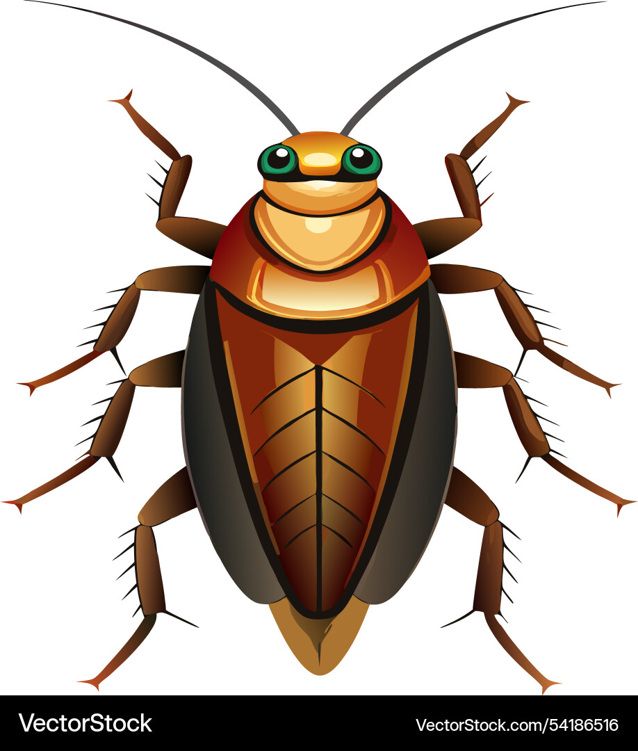 Cockroach art 5 Royalty Free Vector Image - VectorStock