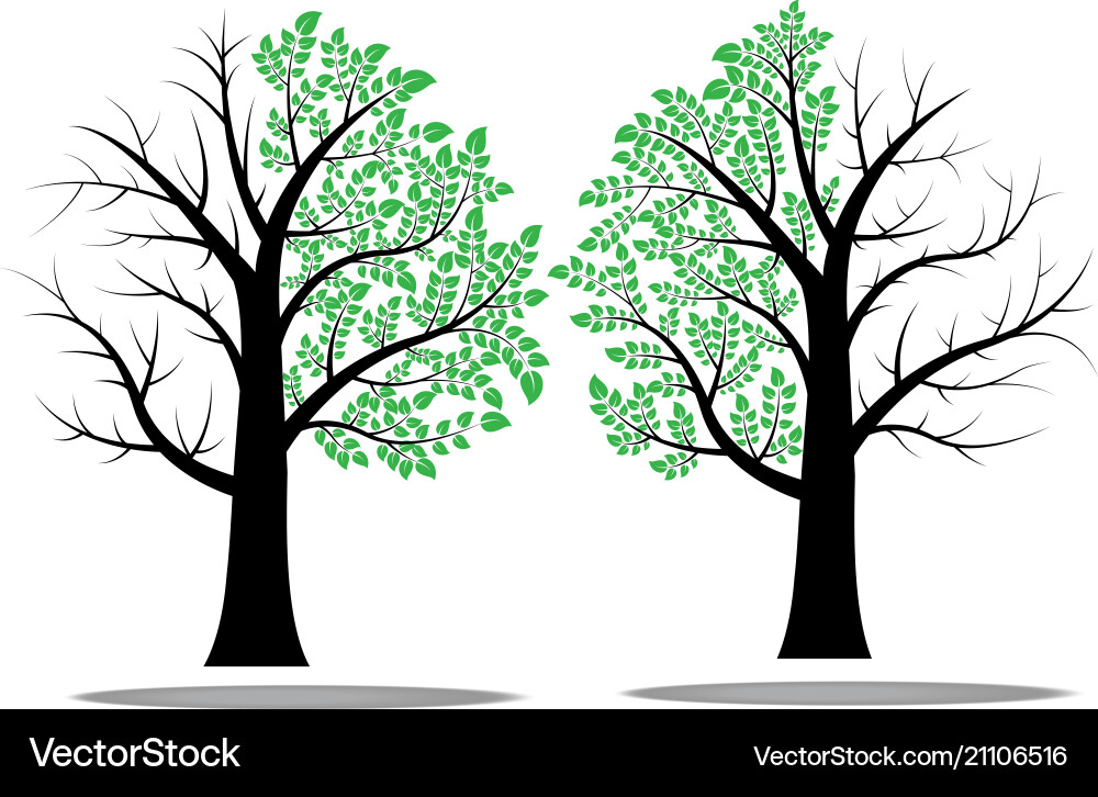 Leaves on tree Royalty Free Vector Image - VectorStock