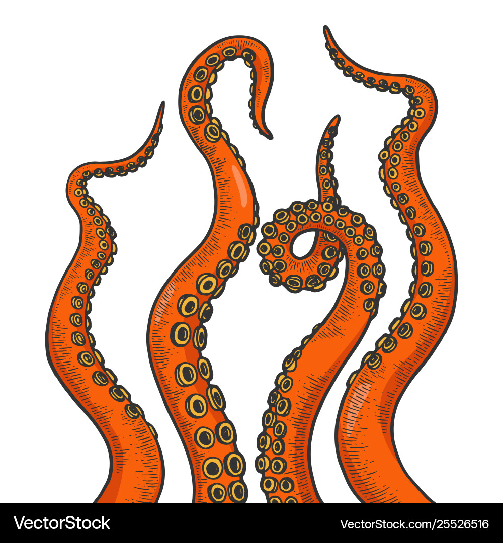 Octopus Tentacle Sketch - Scratch Board Style Vector Image