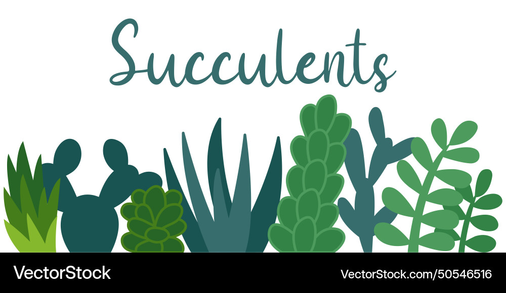 Succulent background Royalty Free Vector Image
