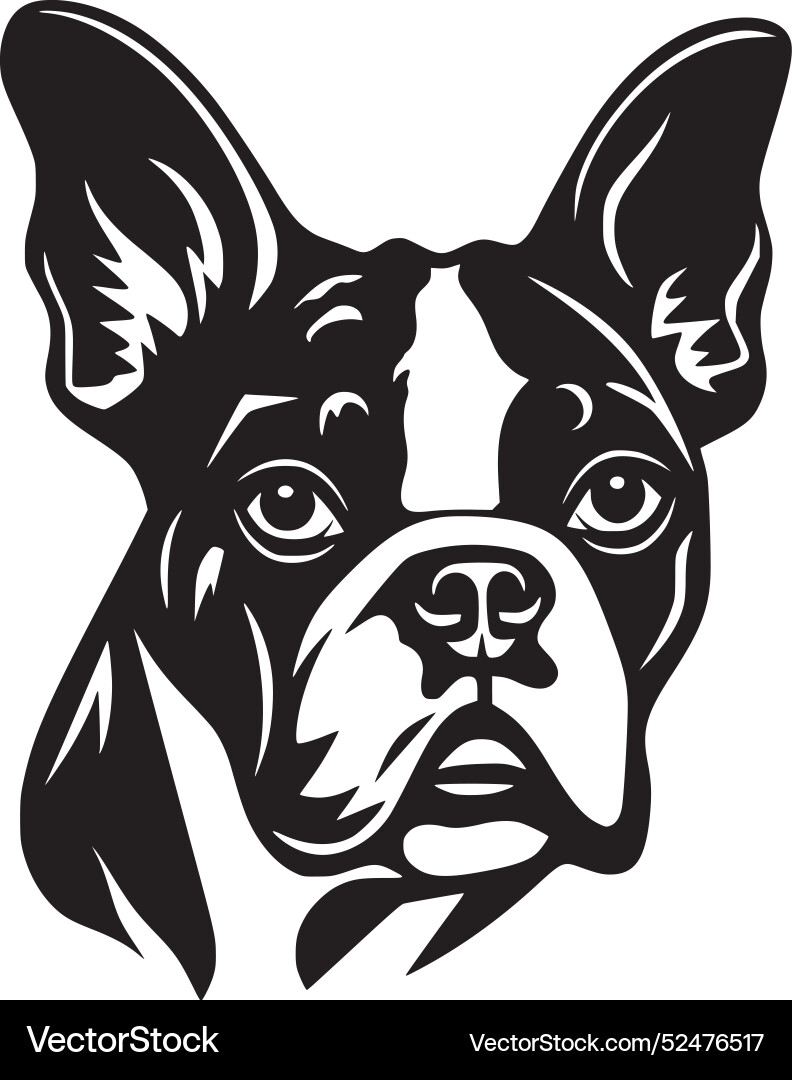 Boston terrier - high quality logo ideal Vector Image
