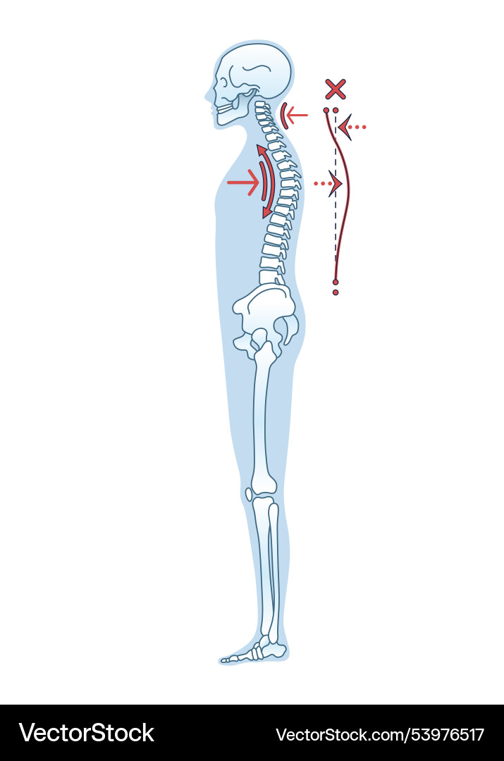 Standing posture for achieving better health Vector Image