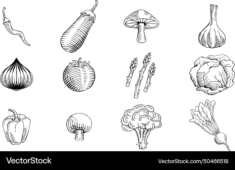 Hand drawn vegetables set Royalty Free Vector Image