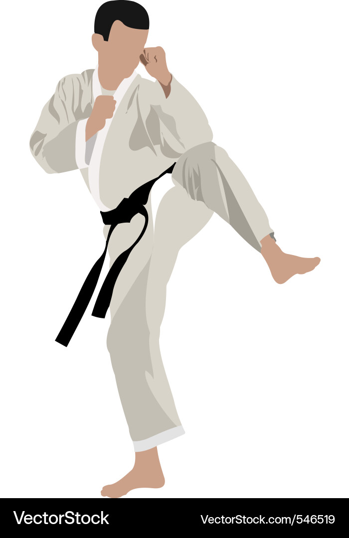 Karate kid Royalty Free Vector Image - VectorStock