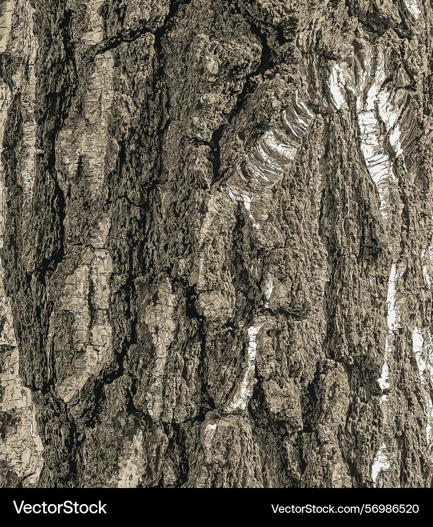 Birch bark texture Royalty Free Vector Image - VectorStock