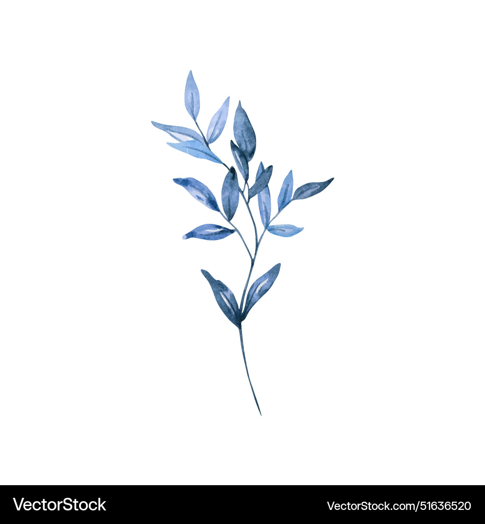 Branch with blue leaves watercolor Royalty Free Vector Image