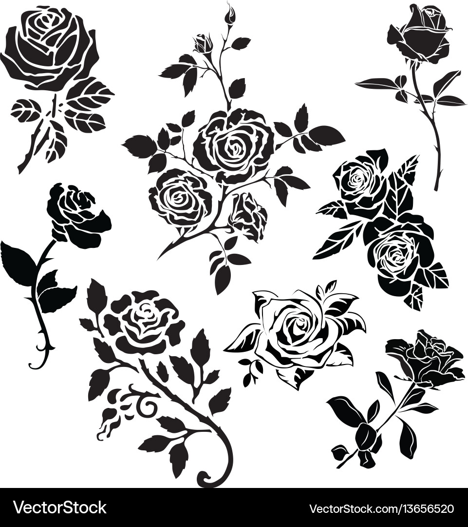 Wild Rose Vector Images (over 11,000)