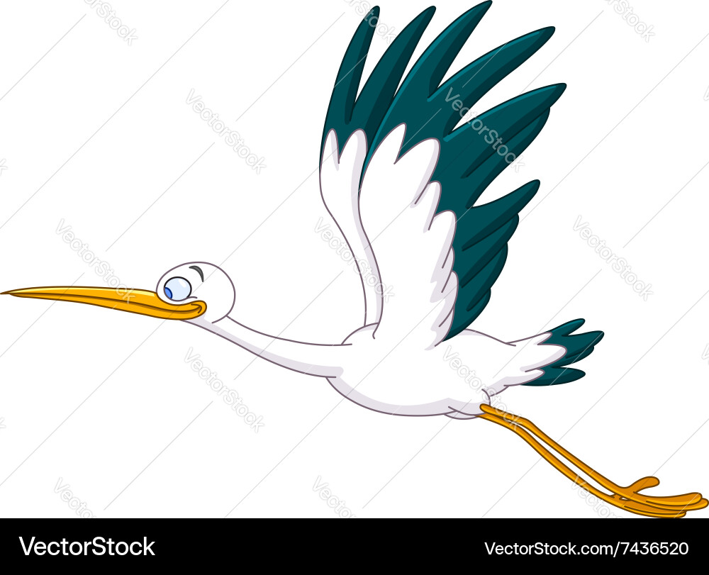 Stork flying Royalty Free Vector Image - VectorStock