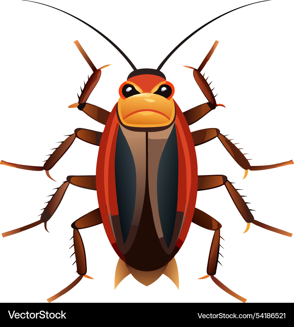 Cockroach art 6 Royalty Free Vector Image - VectorStock