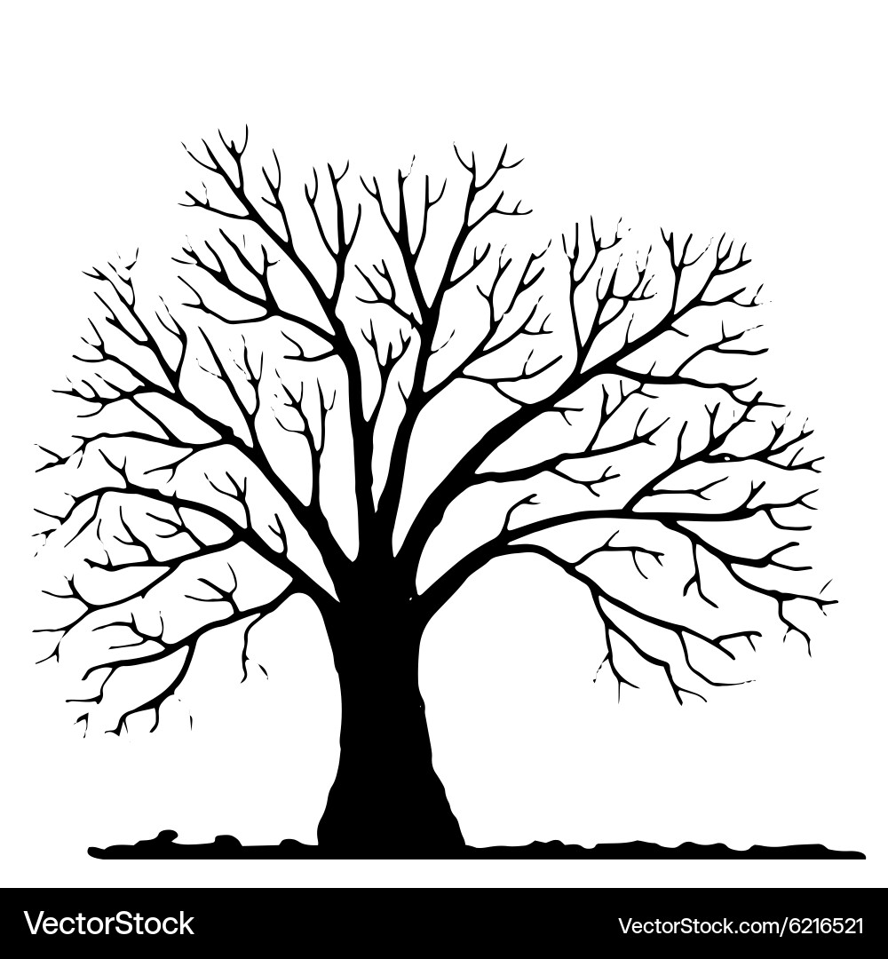 Winter Tree Silhouette Royalty Free Vector Image