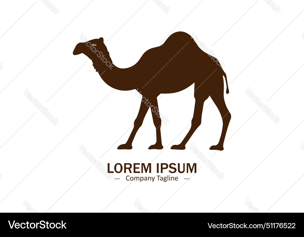 Abstract and minimal camel logo arabic camel icon Vector Image