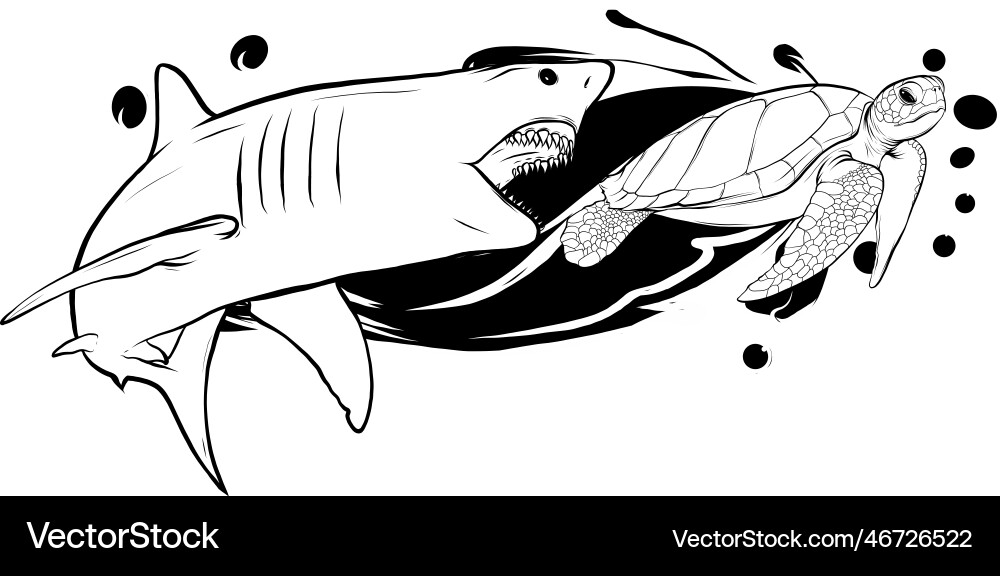 Monochrome shark attack sea turtle Royalty Free Vector Image