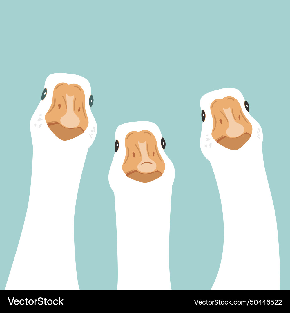 Three cute geese birds design element Royalty Free Vector