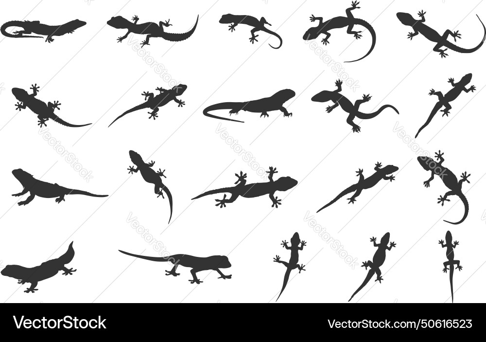 Lizard silhouette gecko Royalty Free Vector Image