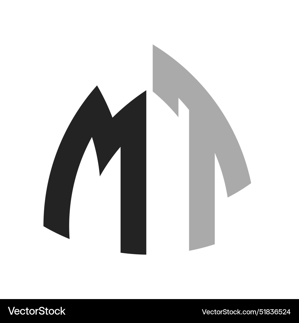 Modern creative mt logo design letter icon Vector Image