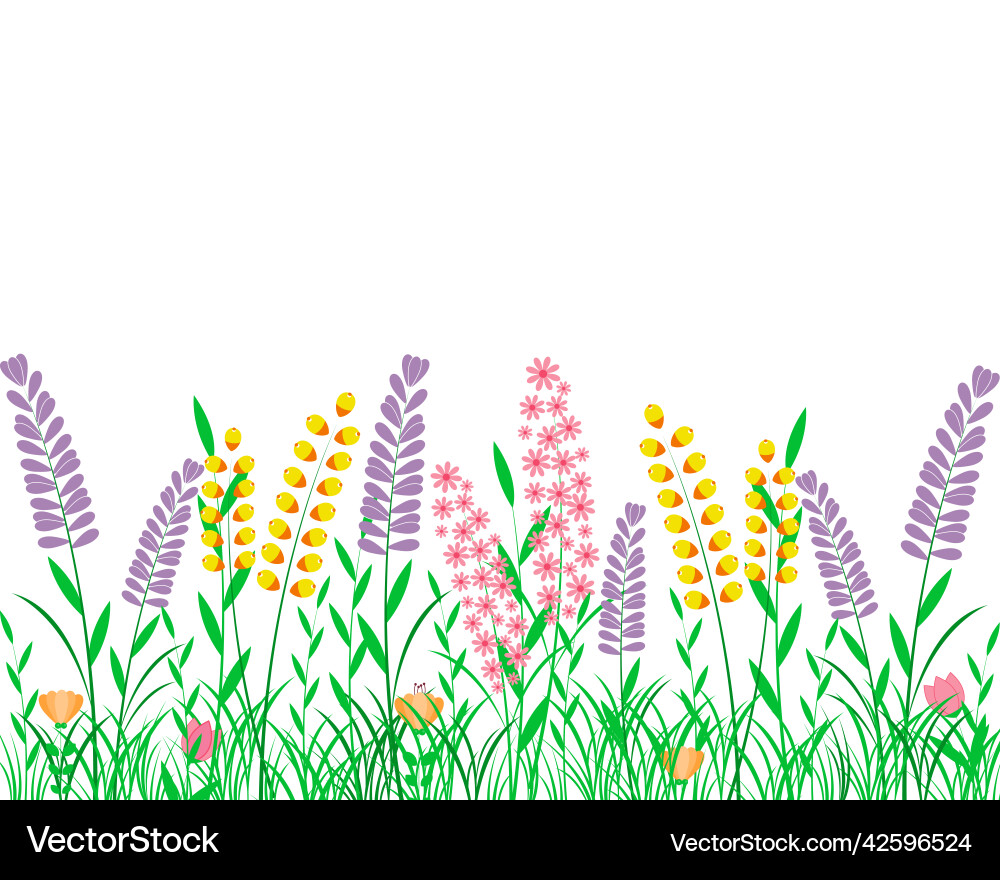 Wild flowers border Royalty Free Vector Image - VectorStock