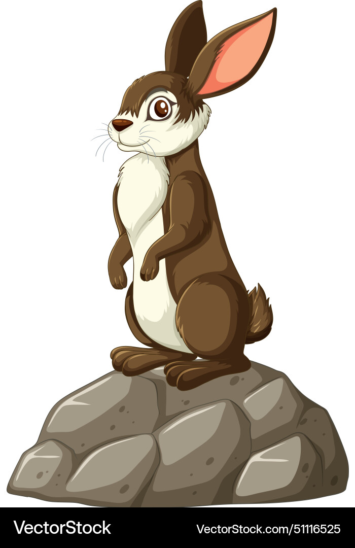 A rabbit standing on stones Royalty Free Vector Image