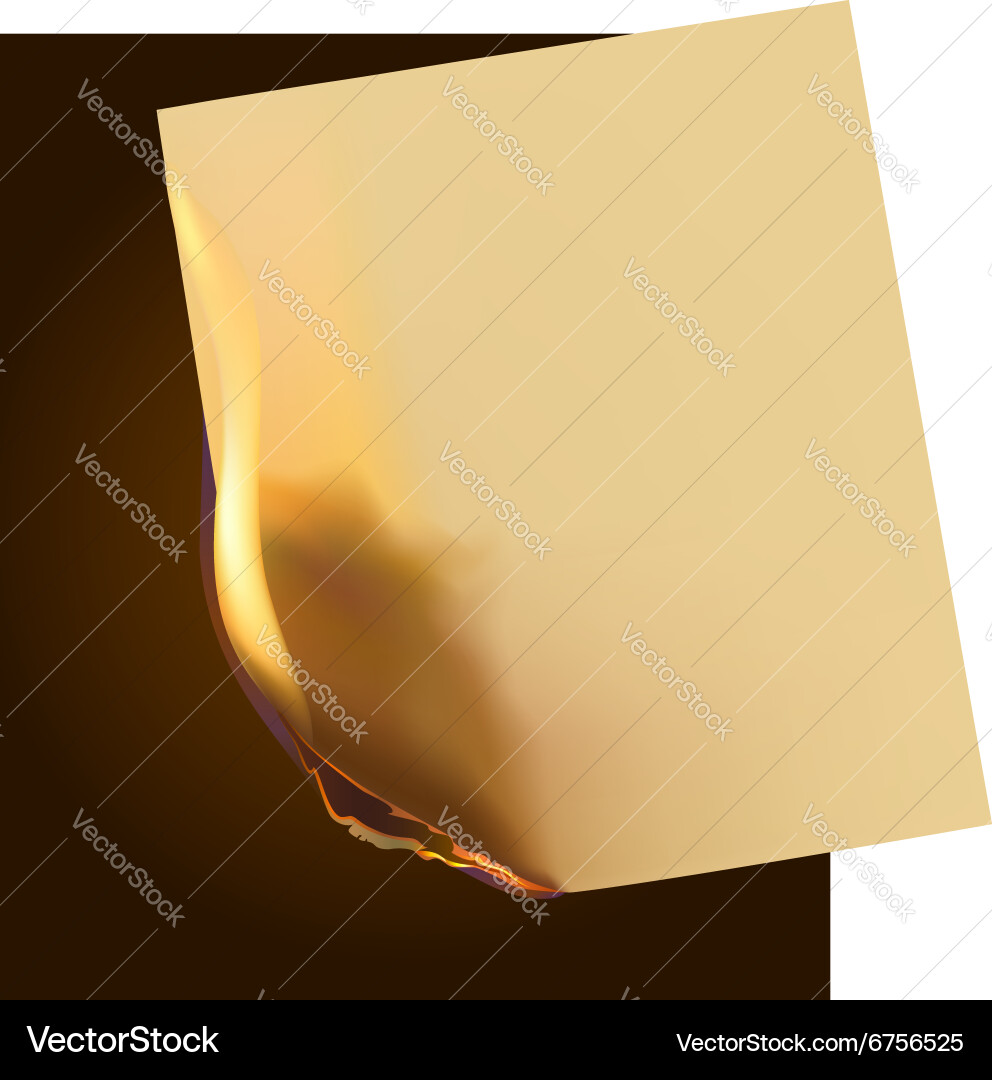Burning paper Royalty Free Vector Image - VectorStock