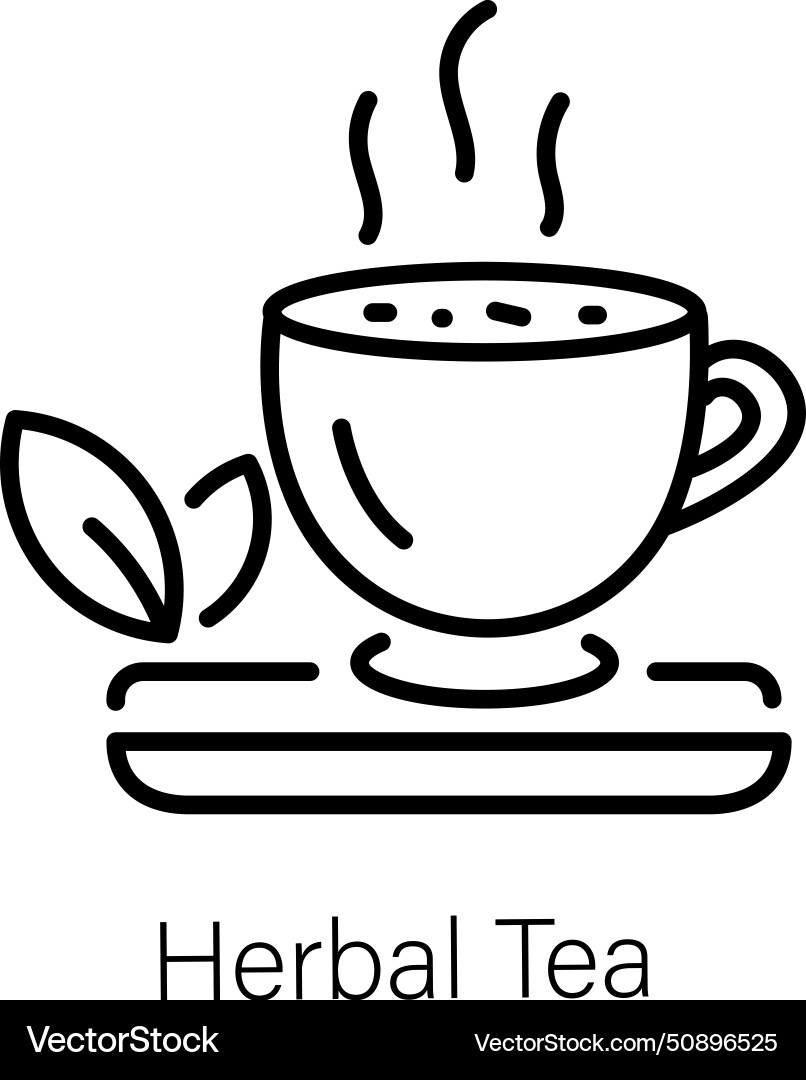 Herbal tea Royalty Free Vector Image - VectorStock