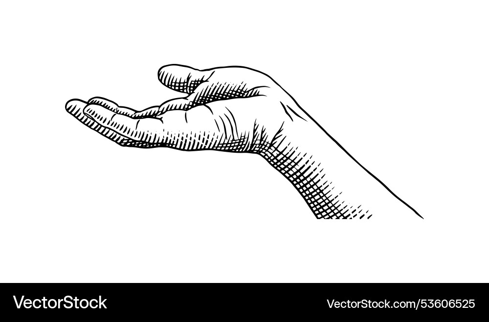 Open hand giving or receiving for business ideas Vector Image