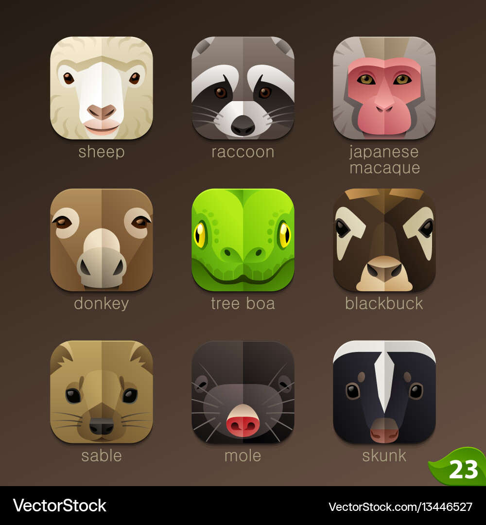 Animal faces for app icons-set 23 Royalty Free Vector Image