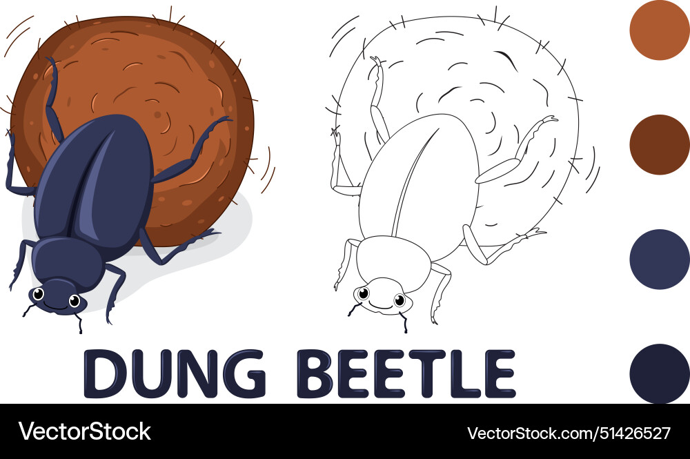 Cute dung beetle cartoon coloring book hand drawn Vector Image
