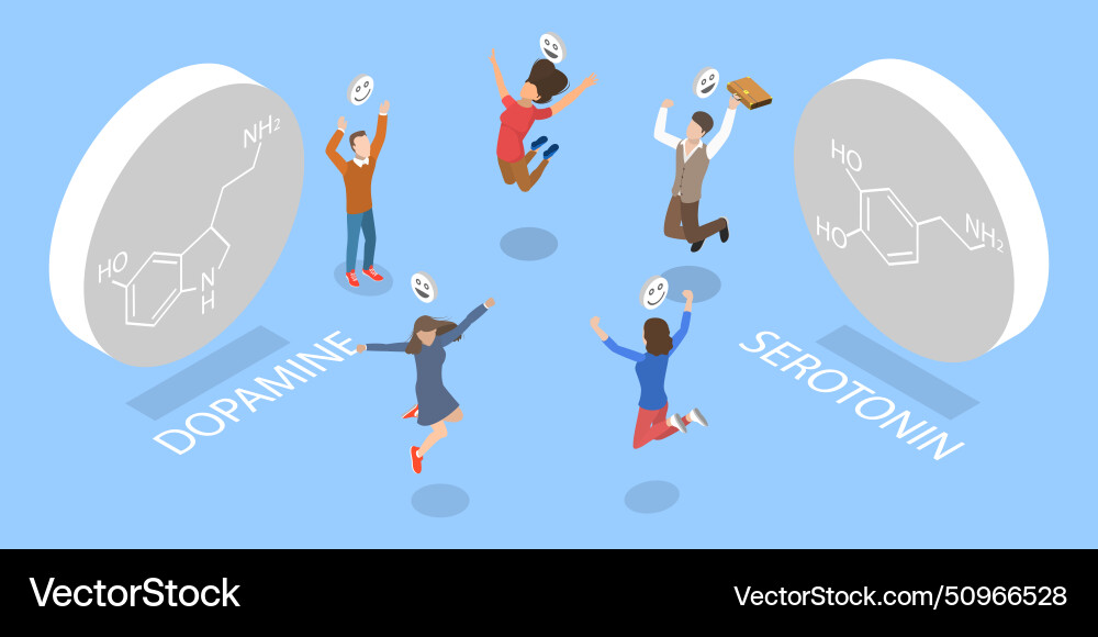 3d isometric flat of human Royalty Free Vector Image