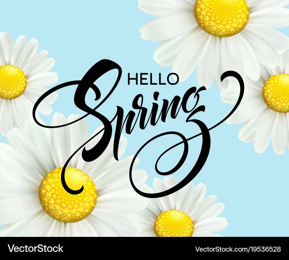 Calligraphic inscription hello spring Royalty Free Vector