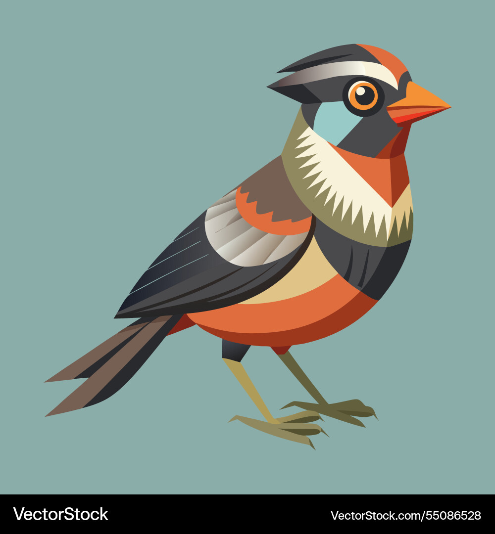 Cartoon robin bird sitting on a tree branch Vector Image