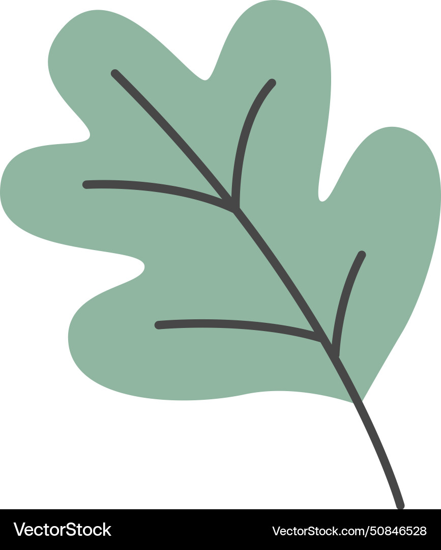 Oak tree leaf Royalty Free Vector Image - VectorStock