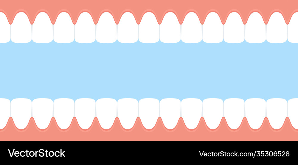 Teeth and gum open mouth inside view dental Vector Image