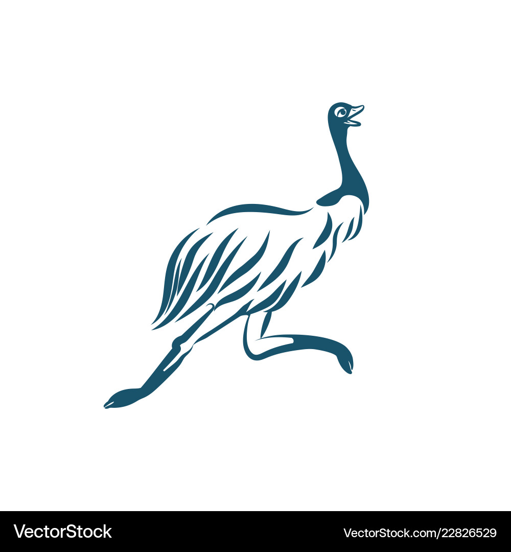Stylized emu bird running on white background Vector Image