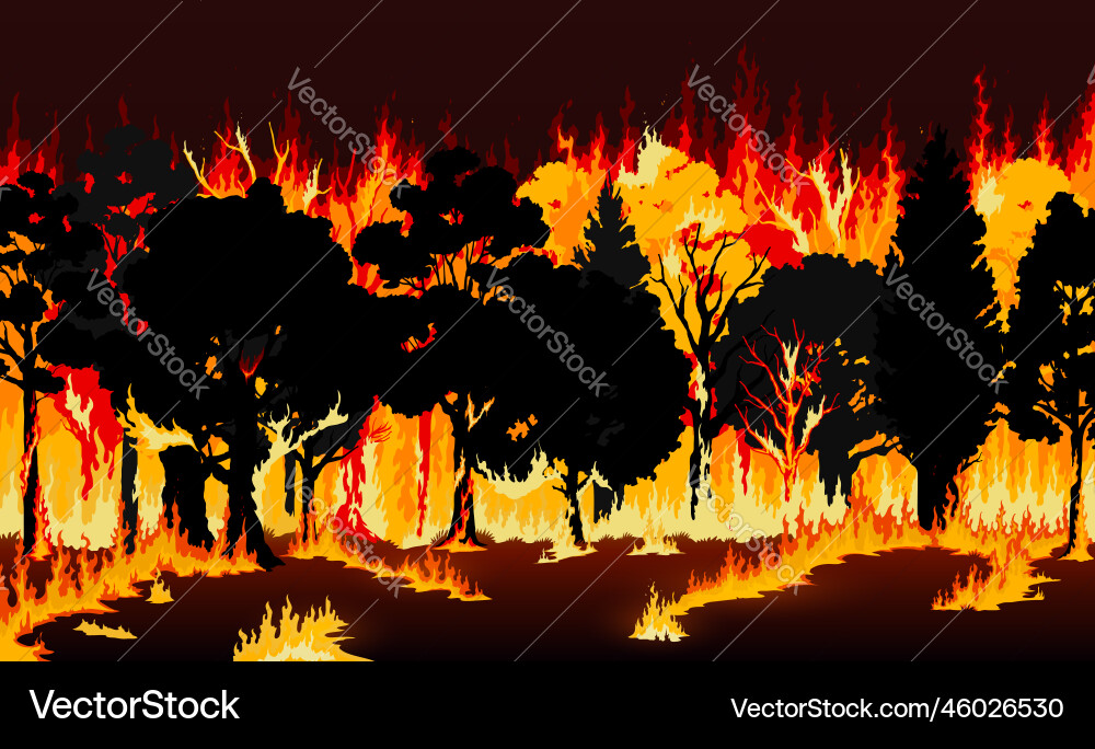 Forest fire burning trees and grass background Vector Image
