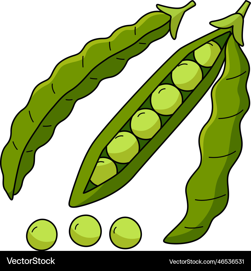 Bean Cartoon Clipart